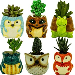 Matty's Garden Animal Ceramic Succulent Planters Set of 6 | 2.5 Inch Small Cactus Pots with Drainage Hole Raccoon Owl Turtle Hedgehog Frog Fox