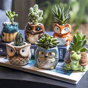 Matty's Garden Animal Ceramic Succulent Planters Set of 6 | 2.5 Inch Small Cactus Pots with Drainage Hole Raccoon Owl Turtle Hedgehog Frog Fox