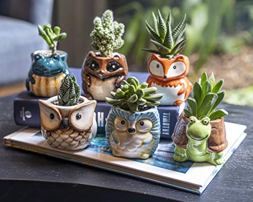 Matty's Garden Animal Ceramic Succulent Planters Set of 6 | 2.5 Inch Small Cactus Pots with Drainage Hole Raccoon Owl Turtle Hedgehog Frog Fox