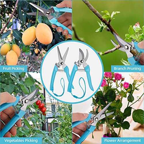 Pruning shears,3Pcs Garden Scissors,Stainless Steel Sharp Blade Gardening Trimming Floral Shears Scissors Pruners for Cutting Flowers,Trimming Plants,Bonsai,Picking Fruits with Storage Bag,Wipe Cloth