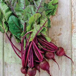 Burpee Detroit Dark Red Medium Top Beet Seeds 1000 seeds