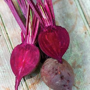 Burpee Detroit Dark Red Medium Top Beet Seeds 1000 seeds