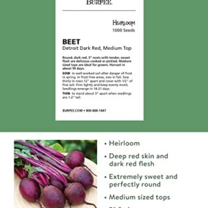 Burpee Detroit Dark Red Medium Top Beet Seeds 1000 seeds