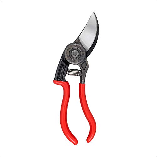 Corona BP 3640 Forged Steel ErgoACTION Angled Bypass Hand Pruner - 3/4 inch Cut Capacity Stem and Branch Garden Shears, Red