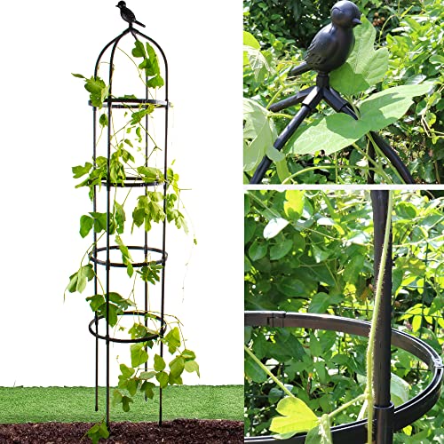 Garden Trellis for Climbing Plants, Rustproof Metal Pipe with Heavy Duty 6ft, Garden Outdoor Indoor Potted Plant Support（Black）…