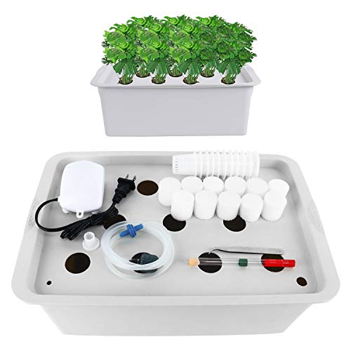 Homend Indoor Hydroponic Grow Kit with Bubble Stone, 11 Sites (Holes) Bucket, Air Pump, Sponges - Best Indoor Herb Garden - Grow Fast at Home