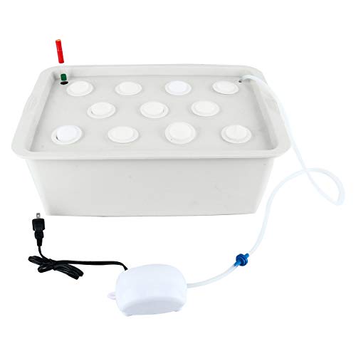 Homend Indoor Hydroponic Grow Kit with Bubble Stone, 11 Sites (Holes) Bucket, Air Pump, Sponges - Best Indoor Herb Garden - Grow Fast at Home