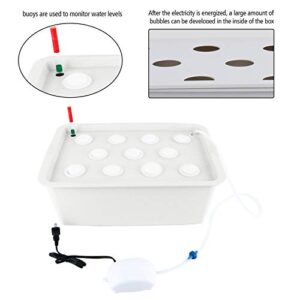 Homend Indoor Hydroponic Grow Kit with Bubble Stone, 11 Sites (Holes) Bucket, Air Pump, Sponges - Best Indoor Herb Garden - Grow Fast at Home