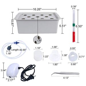 Homend Indoor Hydroponic Grow Kit with Bubble Stone, 11 Sites (Holes) Bucket, Air Pump, Sponges - Best Indoor Herb Garden - Grow Fast at Home