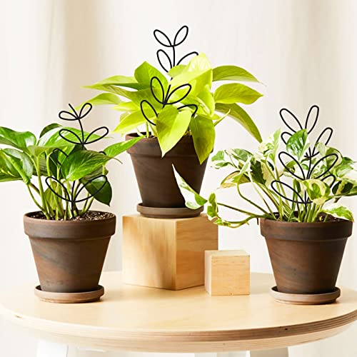 Tuitessine Leaf Shape Plant Trellis for Climbing Houseplant Trellis Indoor Garden Trellis Metal Wire Stake for Potted Plant Houseplant Lover Gift Set of 4