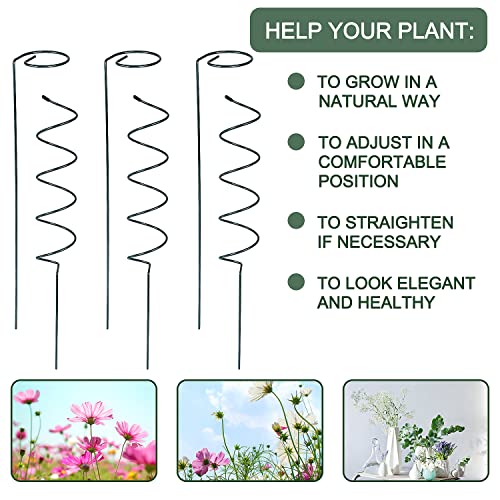 Plant Support Stakes, 6 Packs Plant Stakes for Indoor and Outdoor Plants Plant Support for Potted Plants Orchid Lily Dahlia Clematis Rose Flowers Stem