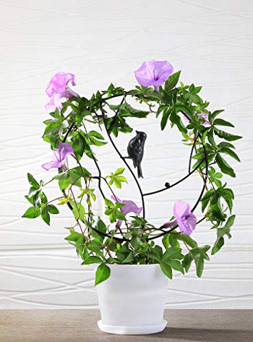 16.3" Tall Garden Trellis for Climbing Plants, Rust-Proof Iron Trellis for Indoor Potted Plants, Bird Round Circle Trellis, Metal Vine Plant Support Trellis for Vines Hoya Houseplants Ivy Flowers