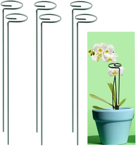 Greenpeas Plant Stake Support - 3-Inch Diameter Steel Support Stands with Green Plastic Coating - Gardening Brace Sticks for Single Stem Flowers, Amaryllis, Tomatoes, Peony, Lily - 16" Tall, 5 Pieces