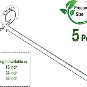 Greenpeas Plant Stake Support - 3-Inch Diameter Steel Support Stands with Green Plastic Coating - Gardening Brace Sticks for Single Stem Flowers, Amaryllis, Tomatoes, Peony, Lily - 16" Tall, 5 Pieces