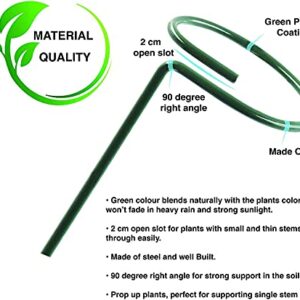 Greenpeas Plant Stake Support - 3-Inch Diameter Steel Support Stands with Green Plastic Coating - Gardening Brace Sticks for Single Stem Flowers, Amaryllis, Tomatoes, Peony, Lily - 16" Tall, 5 Pieces