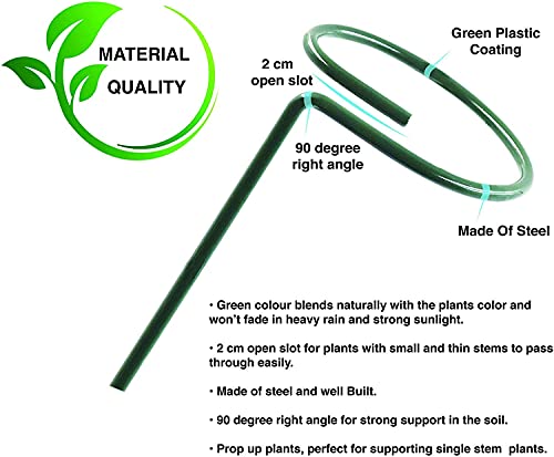 Greenpeas Plant Stake Support - 3-Inch Diameter Steel Support Stands with Green Plastic Coating - Gardening Brace Sticks for Single Stem Flowers, Amaryllis, Tomatoes, Peony, Lily - 16" Tall, 5 Pieces