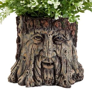 bits and pieces – tree face garden planter – durable polynesian indoor-outdoor urn for plants – forest inspired whimsical garden décor