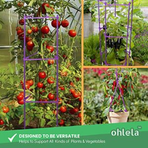 Large Tomato Cages for Garden - 48 Inches, 3-Pack Multifunctional Purple Tomato Plant Support for Vine, Vegetables, Fruits & Flowers with Adjustable Stake Arms - Non-Rusting with 328ft Twist Tie