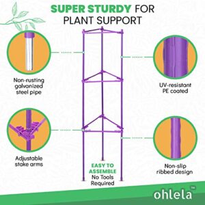 Large Tomato Cages for Garden - 48 Inches, 3-Pack Multifunctional Purple Tomato Plant Support for Vine, Vegetables, Fruits & Flowers with Adjustable Stake Arms - Non-Rusting with 328ft Twist Tie