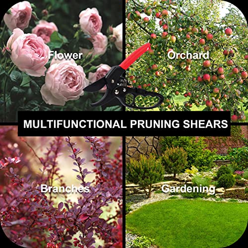 premium garden clippers, MUSTKING ratchet pruning shears, weak handed and arthritic garden shears for flowers, stems, roses, shrubs, hedges, pruning 3 times easier, sharp scissors gardening tools