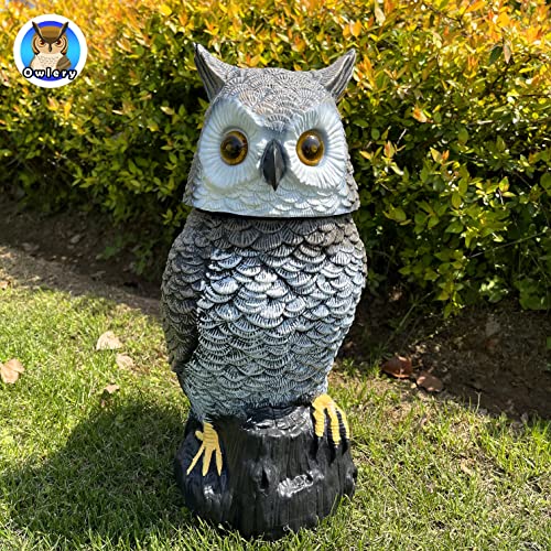 Owlery Solar Owl with Flashing Eyes, Rotating Head and Realistic Tweets, Plastic Owl Decoration for Home, Garden, Patio and Fence, 15 in x 5.5 in x 5.5 in