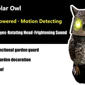 Owlery Solar Owl with Flashing Eyes, Rotating Head and Realistic Tweets, Plastic Owl Decoration for Home, Garden, Patio and Fence, 15 in x 5.5 in x 5.5 in