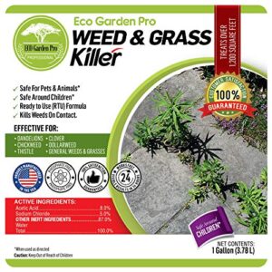 ECO Garden PRO - Organic Vinegar Weed Killer | Kid Safe Pet Safe | Clover Killer for Lawns | Moss Killer | Green Grass & Poison Ivy Killer | Spray Ready Glyphosate Free Herbicide (1 Gallon)