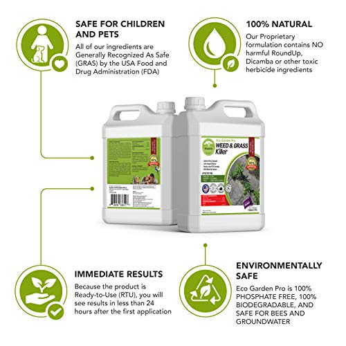 ECO Garden PRO - Organic Vinegar Weed Killer | Kid Safe Pet Safe | Clover Killer for Lawns | Moss Killer | Green Grass & Poison Ivy Killer | Spray Ready Glyphosate Free Herbicide (1 Gallon)