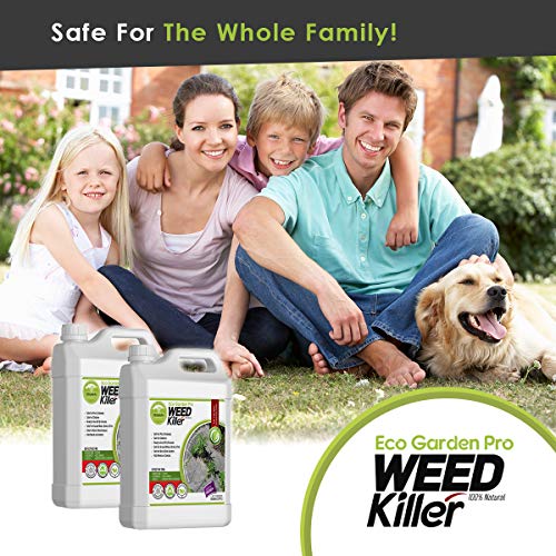 ECO Garden PRO - Organic Vinegar Weed Killer | Kid Safe Pet Safe | Clover Killer for Lawns | Moss Killer | Green Grass & Poison Ivy Killer | Spray Ready Glyphosate Free Herbicide (1 Gallon)