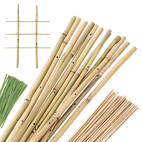 Pllieay Min Bamboo Trellis Garden Trellis Plant Trellis for Climbing Plants Potted Indoor Plants, Includes 12 Pack 16 Inch Natural Bamboo Stakes, 50PCS Ties and 24PCS Bamboo Sticks