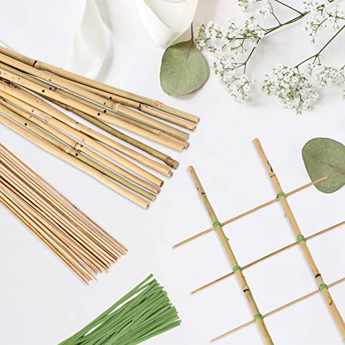 Pllieay Min Bamboo Trellis Garden Trellis Plant Trellis for Climbing Plants Potted Indoor Plants, Includes 12 Pack 16 Inch Natural Bamboo Stakes, 50PCS Ties and 24PCS Bamboo Sticks