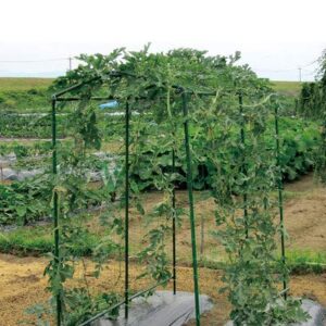 HHTHH Green Trellis Netting 5x60 ft Heavy Duty Garden Trellis Netting Polypropylene Plant Support Net for Climbing Vegetables Fruits Flowers