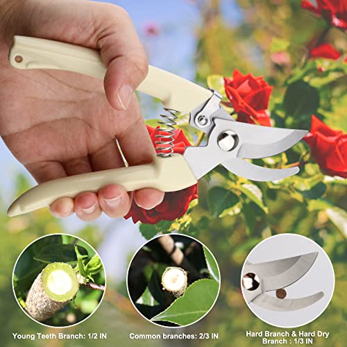 QIIYCCE Garden Shears,Lightweight Stainless Steel Bypass Pruning Shears，Sharp Garden Scissors For Pruning, Fruits, Flowers, Plants (1 PACK)