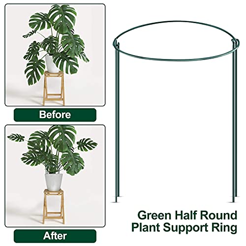 BLIKA 20 Pack Garden Plant Support Stake, 10" Wide x 16" High Half Round Metal Plant Stake, Plant Supports for Outdoor Plants, Outdoor Tall Plant Support Ring Cage, Plant Support Rings