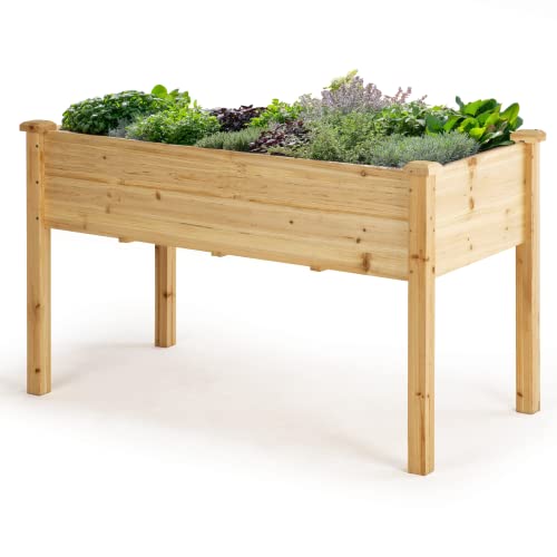 Idzo Raised Garden Bed with Legs, Durable Elevated Garden Box with Wax Oil Coated, 48x24x30in Wood Planter with Big Planter Box Load Up to 220 Pounds, Ergonomic Height for Convenient Plants Care