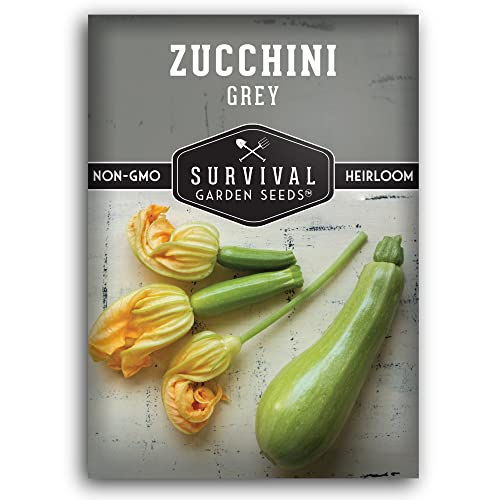 Survival Garden Seeds - Grey Zucchini Seed for Planting - Packet with Instructions to Plant and Grow Mexican Summer Squash in Your Home Vegetable Garden - Non-GMO Heirloom Variety