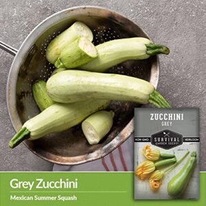 Survival Garden Seeds - Grey Zucchini Seed for Planting - Packet with Instructions to Plant and Grow Mexican Summer Squash in Your Home Vegetable Garden - Non-GMO Heirloom Variety