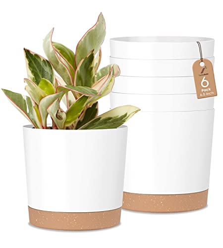 Plastic Plant Pots,6.5 inch Flower Planter Pots with Trays,Modern Stylish Indoor & Outdoor Garden Pots for All House Plants,Flowers,Herbs,Succulents (White, 6)