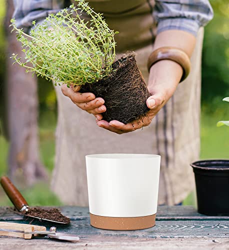 Plastic Plant Pots,6.5 inch Flower Planter Pots with Trays,Modern Stylish Indoor & Outdoor Garden Pots for All House Plants,Flowers,Herbs,Succulents (White, 6)