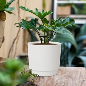 Plastic Plant Pots,6.5 inch Flower Planter Pots with Trays,Modern Stylish Indoor & Outdoor Garden Pots for All House Plants,Flowers,Herbs,Succulents (White, 6)