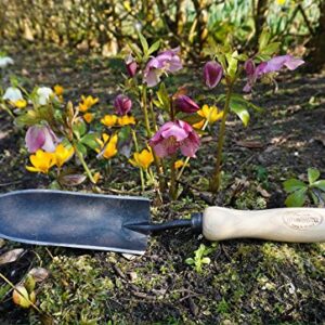 Dewit Forged Transplant Trowel with Short Handle