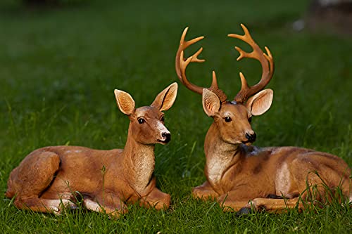 JHVYF Adorable Deer Statue Decor for Garden Yard Buck & Doe Lying Outdoor Sculptures for Home Decor 312-313