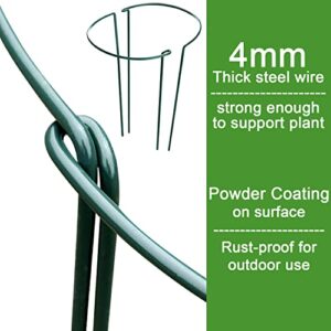 HiGift 8 Pack Plant Support Stakes, 10" Wide x 24" High Half Round Metal Garden Plant Stake Peony Plant Support Cage, Green Plant Support Ring Border for Tomato,Hydrangea,Flower Indoor Outdoor