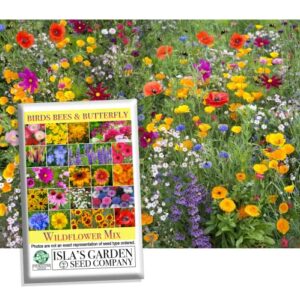 birds, bees, and butterflies mix flower seeds, 500+ seeds per packet, variety of wildflowers! (isla’s garden seeds), non gmo & heirloom seeds, great flower mix for home garden landscape