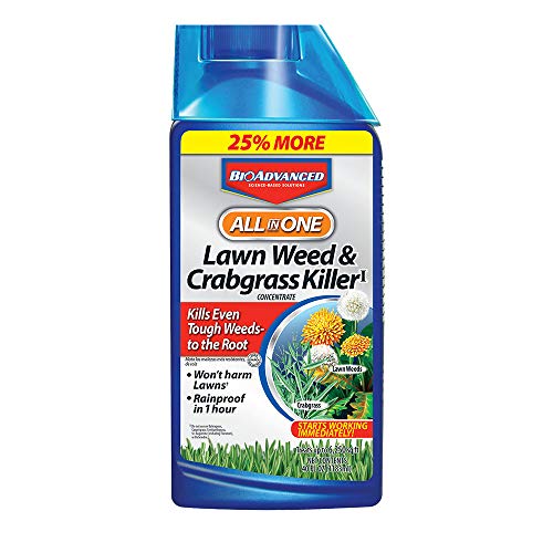 BIOADVANCED 704140 All-in-One Lawn Weed And Crabgrass Killer Garden Herbicide, 40-Ounce, Concentrate