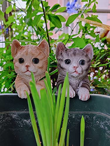 OXSNice Miniature Fairy Garden and Terrarium Flower Pot and Vase Hugger Ornaments Flower Animal Pots Hanging Garden Flower Pots Balcony Pendant Ornaments (Two Cats)