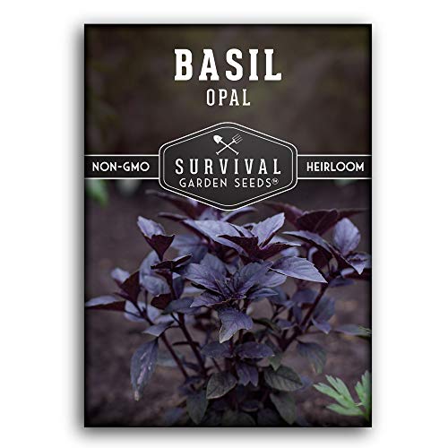 Survival Garden Seeds - Opal Basil Seed for Planting - Packet with Instructions to Plant and Grow Delicious & Unique Purple Basil Herb Plants in Your Home Vegetable Garden - Non-GMO Heirloom Variety