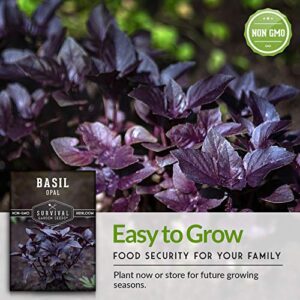 Survival Garden Seeds - Opal Basil Seed for Planting - Packet with Instructions to Plant and Grow Delicious & Unique Purple Basil Herb Plants in Your Home Vegetable Garden - Non-GMO Heirloom Variety