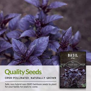 Survival Garden Seeds - Opal Basil Seed for Planting - Packet with Instructions to Plant and Grow Delicious & Unique Purple Basil Herb Plants in Your Home Vegetable Garden - Non-GMO Heirloom Variety