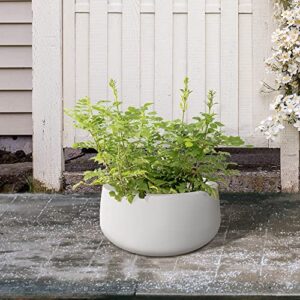 Kante 16" Dia. Round Pure White Finish Concrete Bowl Planter, Outdoor Indoor Large Planter Pot with Drainage Hole for Garden, Patio, Balcony, Deck, Living Room (RC0051B-C80011)